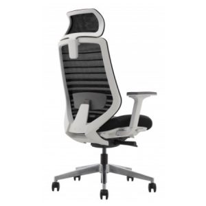 SPARTA White Frame Mesh Ergonomic Chair - Office Furniture Dubai ...